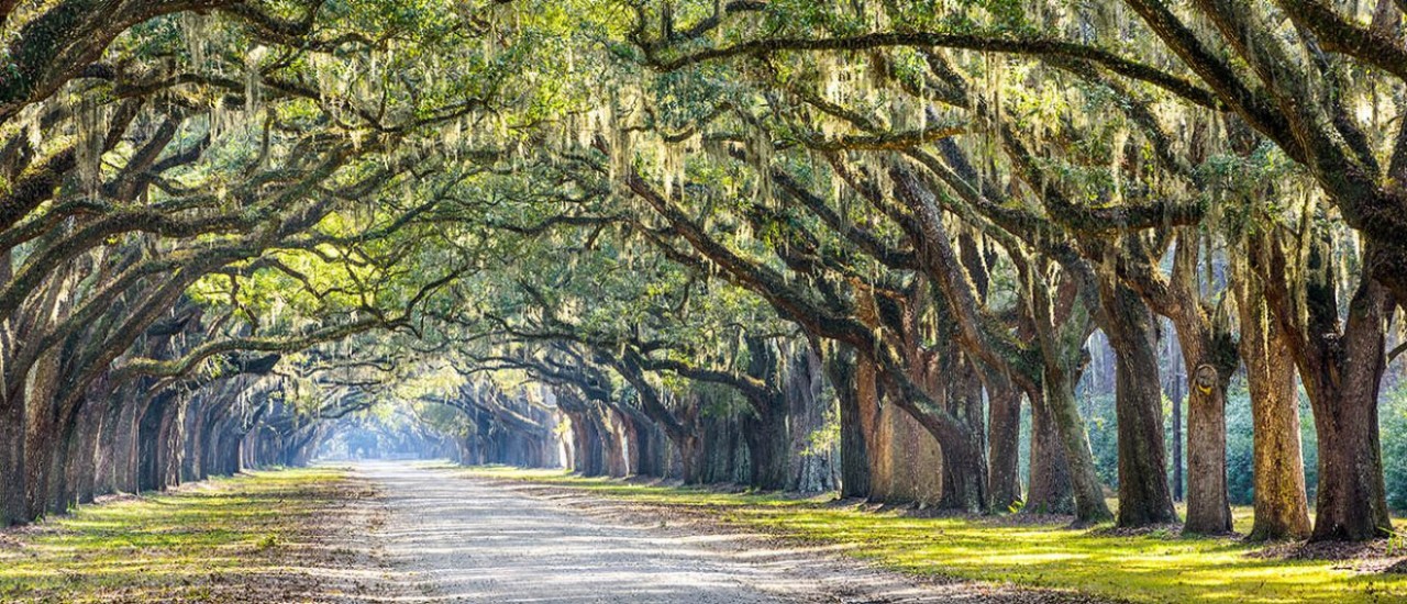 The Best Road Stops Along Dixie Overland Highway