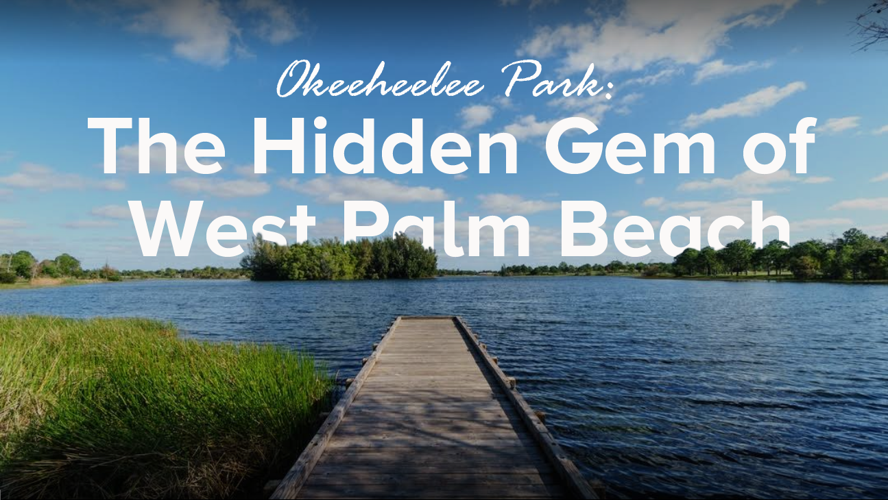 Okeeheelee Park: The Hidden Gem of West Palm Beach